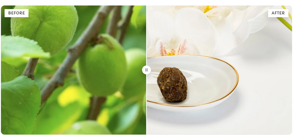 (4-8 day Plan) Share Pomelozzini® Fermented Pomelo/Grapefruit (4-pc ...